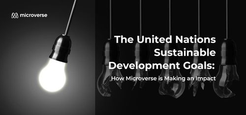 United Nations Sustainable Development Goals: How Microverse is Making an Impact
